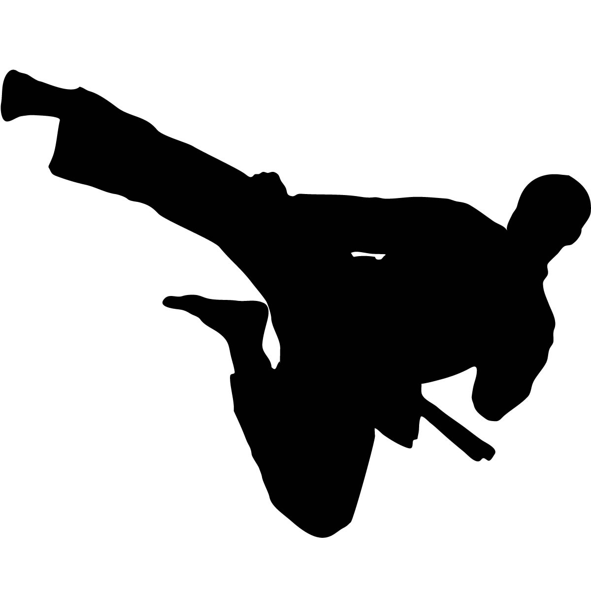 Ninja Kick Silhouette
